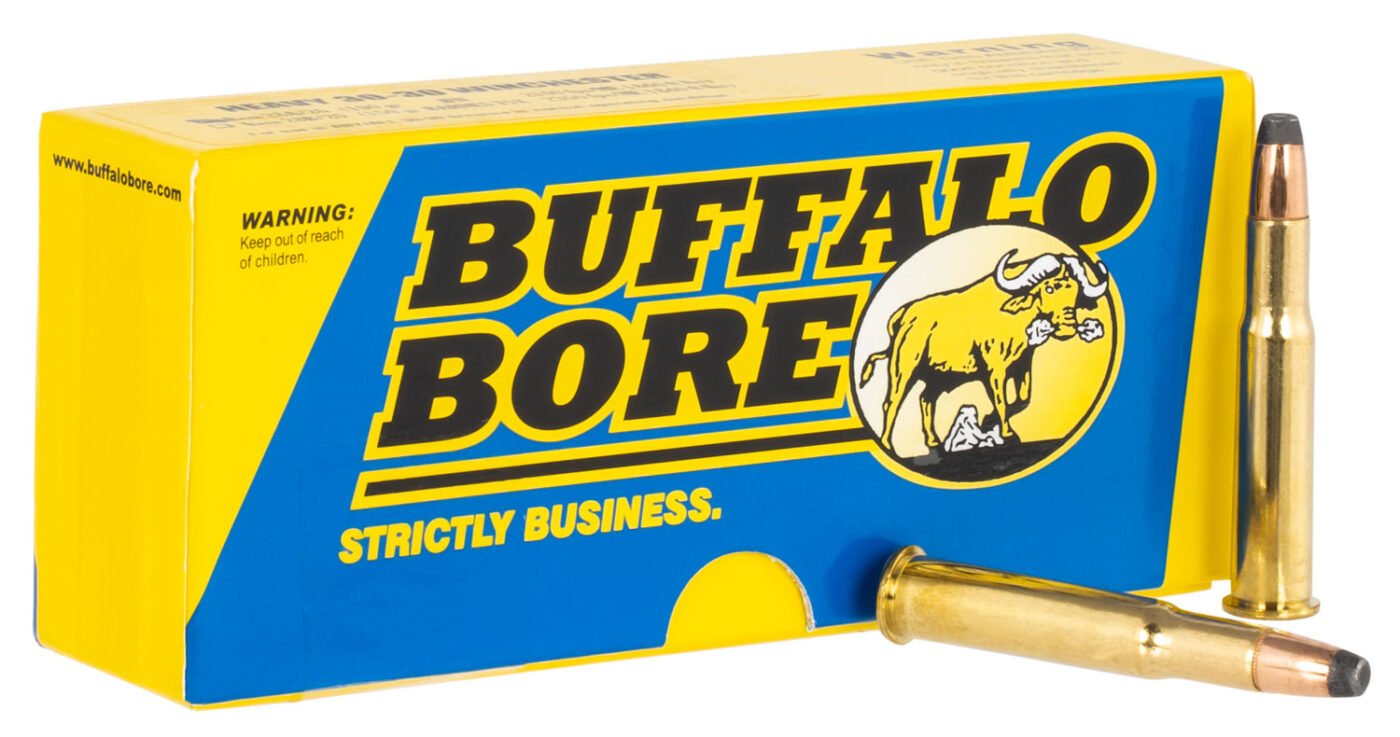 80790 - Buffalo Bore Ammunition 8A/20 Lever Gun 45-70 Gov 430 gr Hard ...